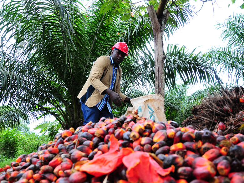 Directorate of Crop Resources – Ministry of Agriculture, Animal ...