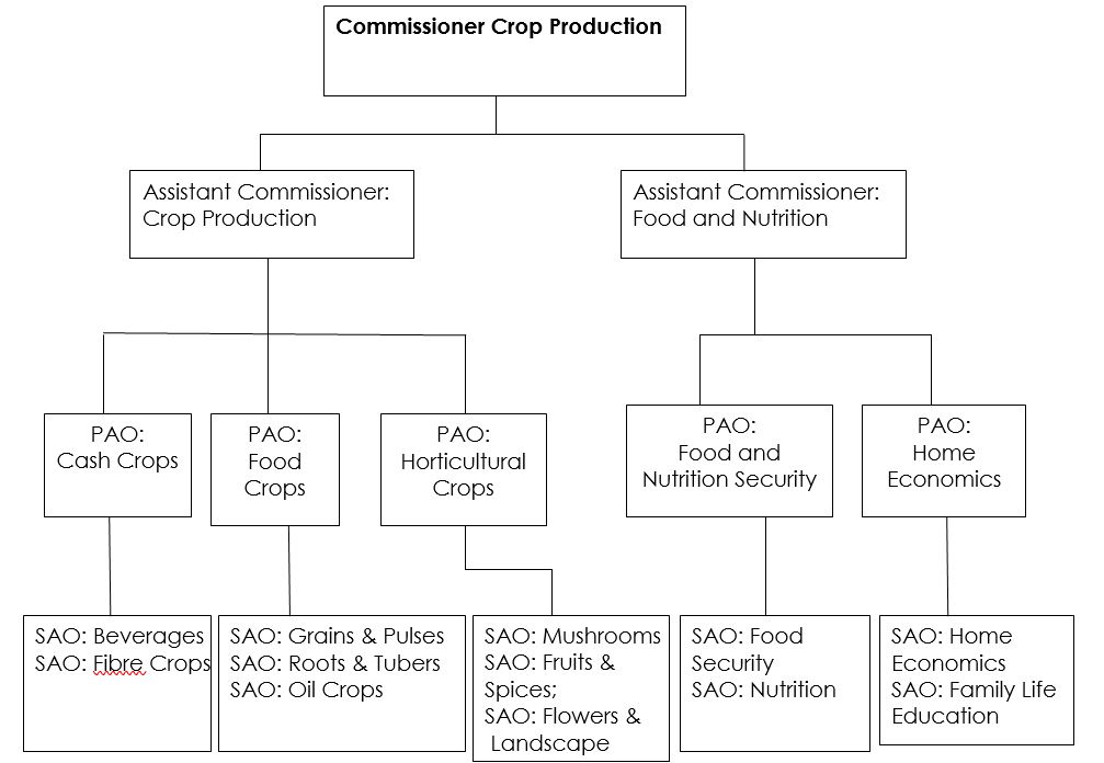 Department of Crop Production – Ministry of Agriculture, Animal ...