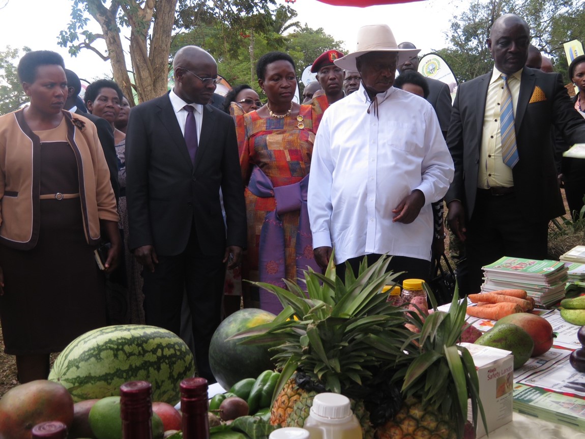 Drive for Improved Nutrition to involve Creative Arts, Music Dance and ...