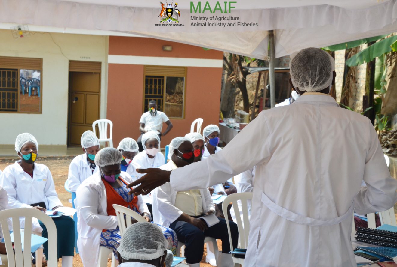 Banana Value Addition Trainings, Processing Equipment and Machines made ...