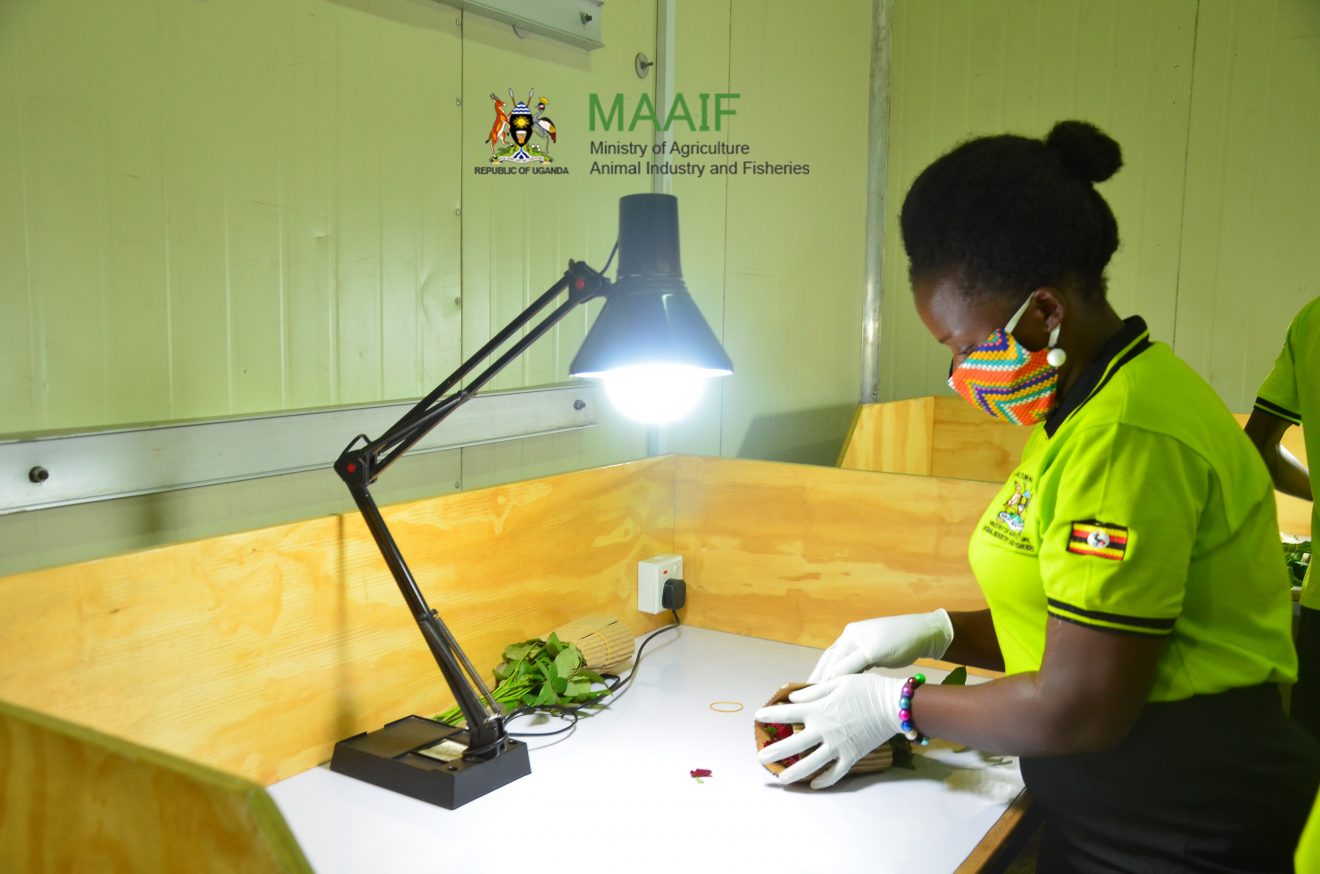 Boost for Crop Inspection and Certification: Additional Endpoint ...