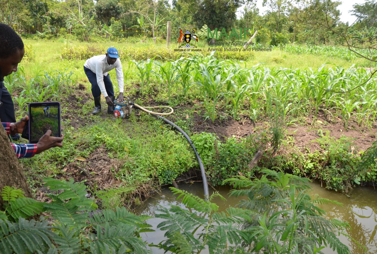 Over 1000 farmers signed up for Micro Scale Irrigation Program ...