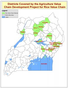 Agricultural Value Chain Development Project (AVCP) – Ministry of ...