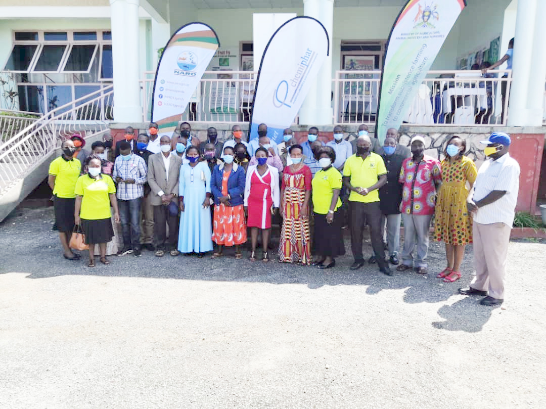 MAAIF tips value-chain actors on export quality – Ministry of ...